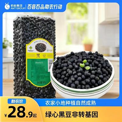 绿心黑豆360g五谷杂粮青仁打豆浆专用发芽自产自种非转基因