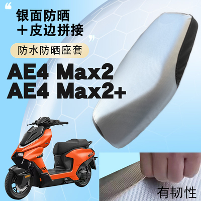 适用极核AE4Max2/Max2+座垫套