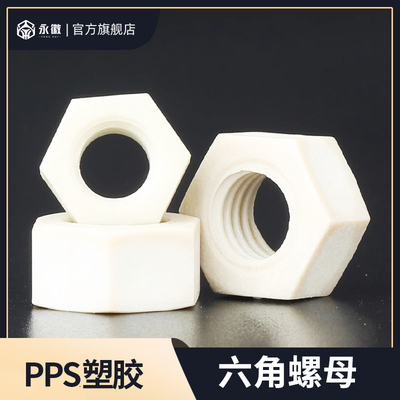 高强度PS塑料六角螺母绝缘耐