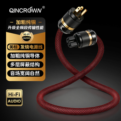 纯铜发烧级功放音响电源线