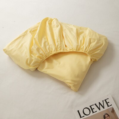 精选床笠罩单件200x220cm榻榻米135x200薄床垫床罩定制2023年新款