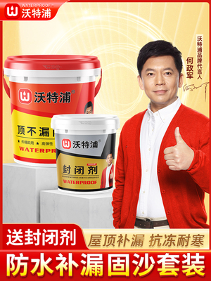 沃特浦防水补漏材料屋顶专用涂料漆楼顶房顶渗水聚氨酯修补防漏胶