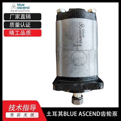 新款土耳其BLUEASCEND齿轮泵APH20.095.CGL  AP30.400 AP10.009液