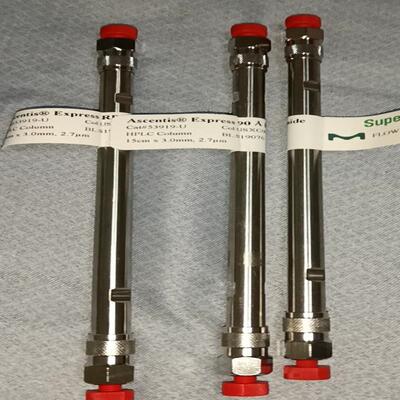 议~SUPELCO色谱柱Ascents Express 90 A