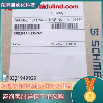 现货SCHMERSRL施迈赛安全继电器SSW303HV-2S