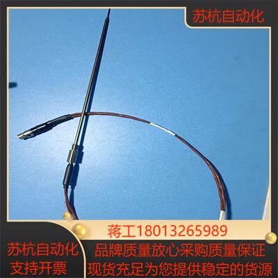 PS2000-006热电偶议价