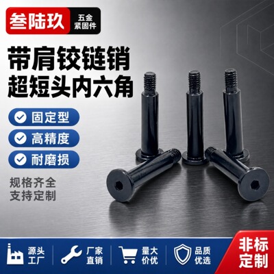 超短头内六角带肩铰链销固定型