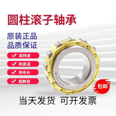 无外圈圆柱滚子轴承RN305M 306 307 308 309 310 311 312 313EM