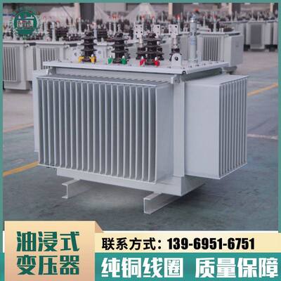 三相油浸式变压器s11s13220v380v大功率全铜节能升压电子变压器