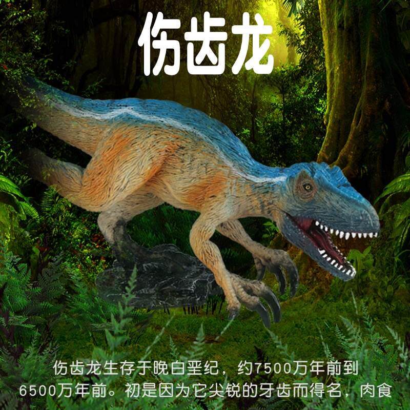 林畅模玩白垩纪恐龙玩具伤齿龙模型儿童仿真史前动物男孩认知摆件