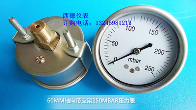 嵌装式轴向带支架压力表