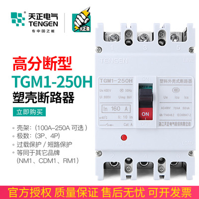 浙江天正TGM1-250H型高分段塑壳断路器开关极限短路分断能力70KA