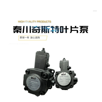 VVP20B/55秦川机床QCIST叶片泵VVP30B/70 VVP40B/35 VVP20B/70/35