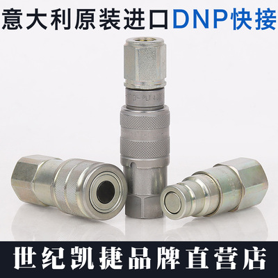 正品进口意大利平面液压