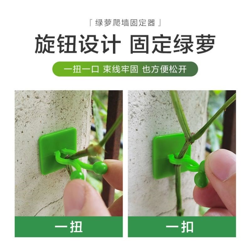 绿萝爬墙上花神器绿植固定器绿箩家用无痕卡扣绿枝爬藤杆夹子挂钩