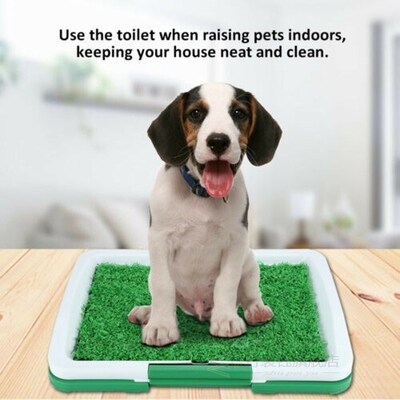 PeT DoG Grass PaD ToILeT MaT InDoor TraInInG Loo Tray PuPPy