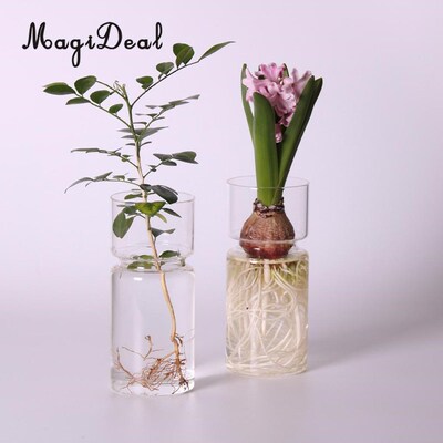 *MagiDeal Clear Hyacinth Glass Vase Creative Flower Planter