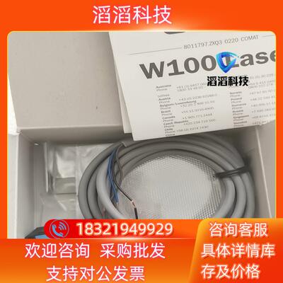 全新原装SICK西克/施克 WL100L-F1131 603