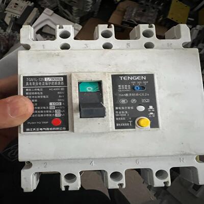 天正TGM1L-125/3N300A剩余电流保护器4P100