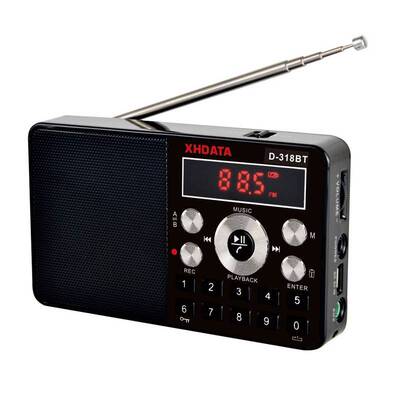 XHDATA D318 BT FM Stereo Radio Plastic Mini Black Multifunc