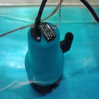 50W 4500L/H 5m DC 12V/24V Solar Water Pump Brushless Motor W