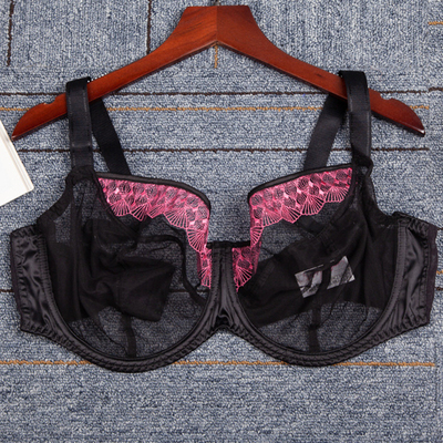 Women's Full Coverage Non Padded Underwire Lace Shee