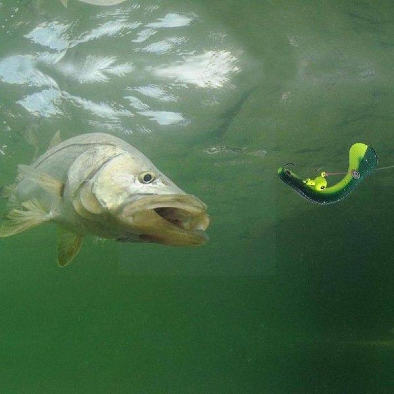 Luya Loach Fake Bait Simulation Twitch Fish Soft Worm Can