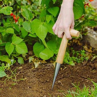 Garden Seedling Transplanter Weeding Digging Seedling