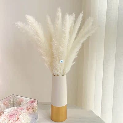Bulrush Natural Dried Flowers Artificial Plants Branch
