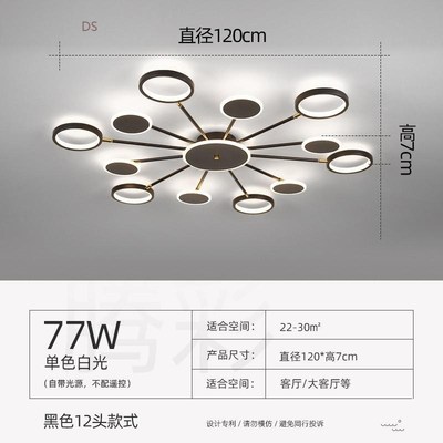 Modern led ceiling lamp living room ceiling lamp bedroom lam