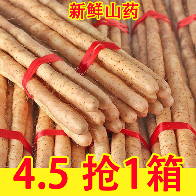 正宗铁棍山药铁杆淮山怀山药新鲜5斤特级整箱非焦作温县5包邮