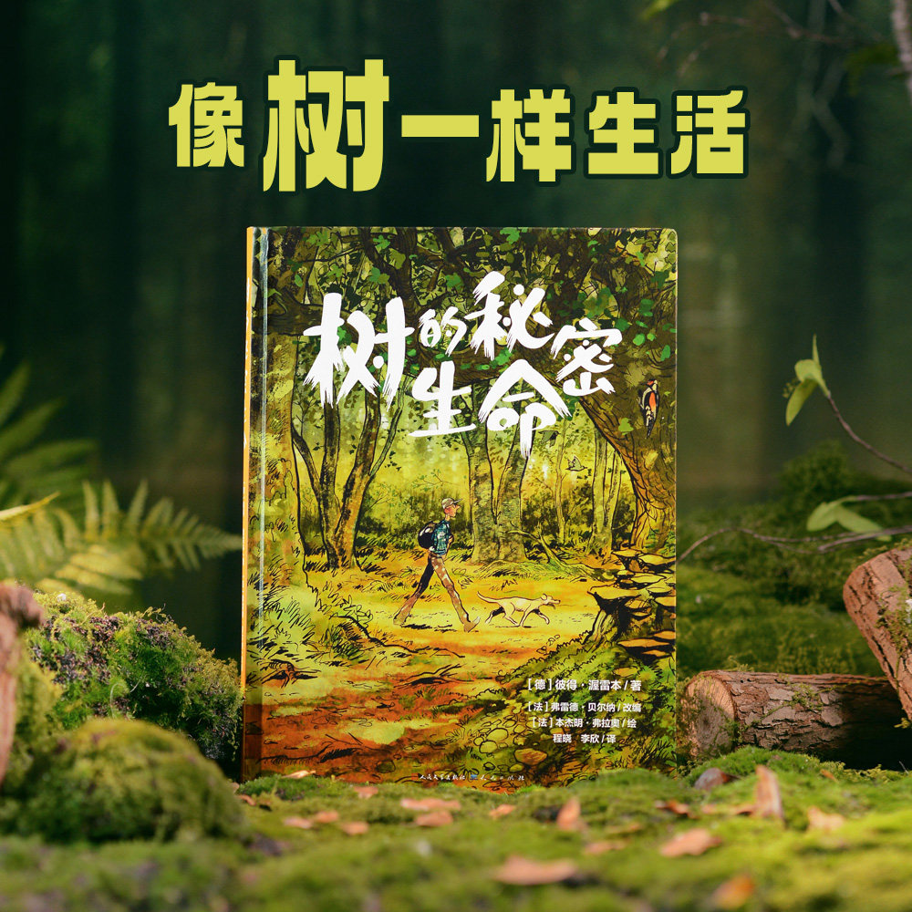 官方正版树的秘密生命儿童绘本全彩绘图科普图像小说自然科普世界名著植物森林爱好者喜欢治愈系手绘生态主题图文书籍的读者畅销书