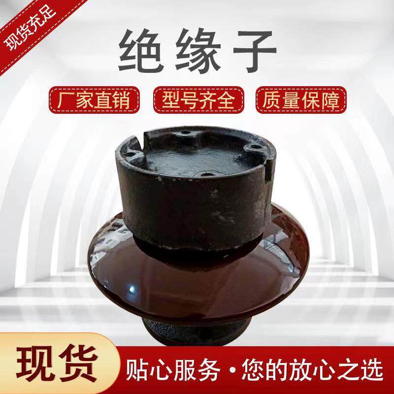 电站用针式支柱绝缘子电解铝厂用电解槽支撑绝缘子ZPD-10ZPD-35