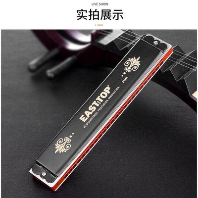 东方鼎新款24孔复音入门口琴专业演奏初学t2406k升级款#abcdefg调