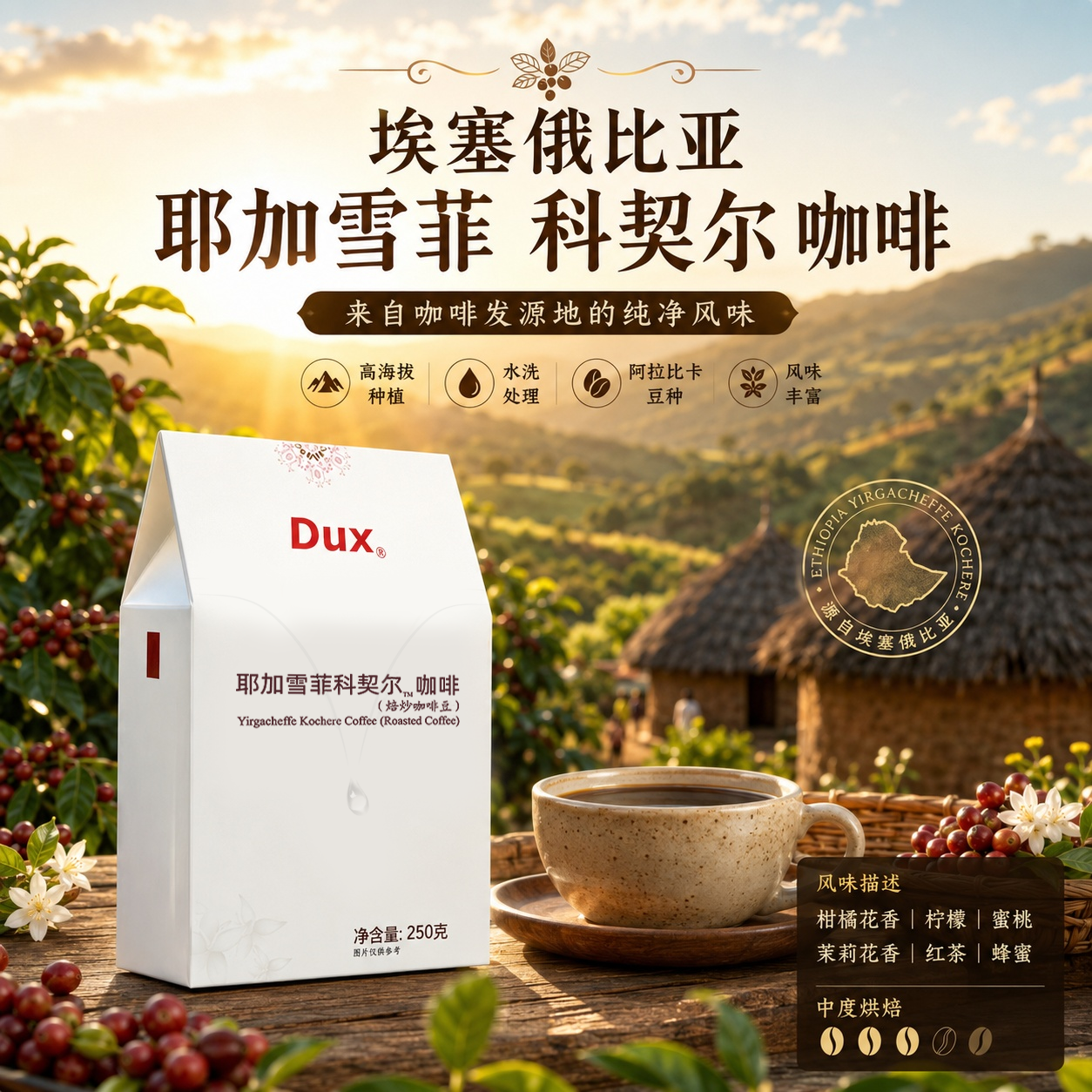 Dux耶加雪菲科契尔咖啡豆,原料埃塞耶加雪菲G1精品咖啡,新鲜烘焙