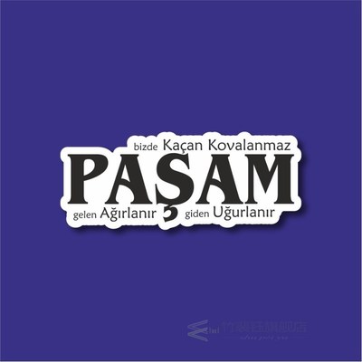 Pa?am Laptop and Phone Sticker-Decal max.8cm