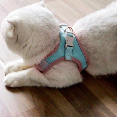 Cat Safety Vest Harness Adjustable Traction Rope With