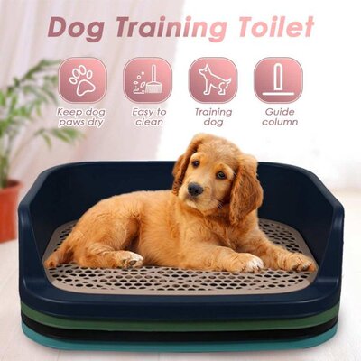 Indoor Dog Potty Tray with Protection Wall Portable Pet Toil