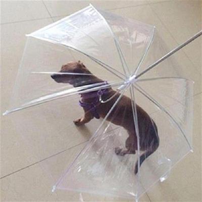 Pet Dog Raincoats Walking Waterproof Clear Cover Built-in