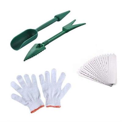 Planter Lifter Succulents Transplanting Seedlings