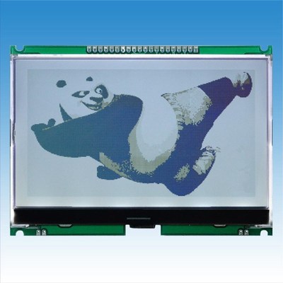 5.0 inch 20P COG Big Size 256160 LCD LCM Module ST75256 Cont