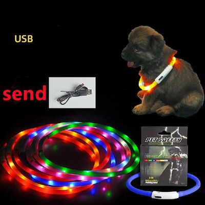 Led Usb Halsband Huisdier Halsband Night Halsbanden Glowing