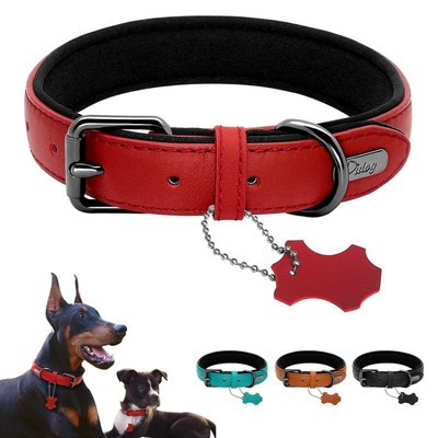 Didog Leather Dog Neoprene Padded Pet Collar Leash Harness