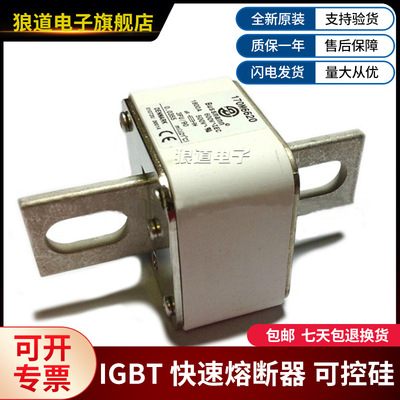170M6619 170M6620 170M6621EATON巴斯曼低压熔断器
