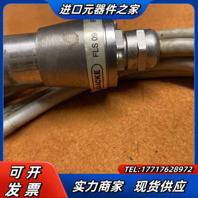Saacke FLS09。火焰探测头议价