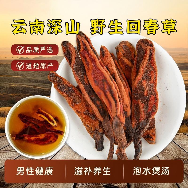 云南野生回春草不老草500g顶天柱男性滋补配玛卡锁阳肉苁蓉泡酒料