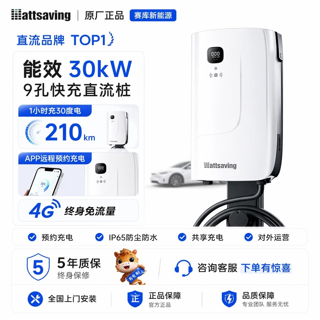 能效汗青30KW 直流9孔充电桩家用新能源汽车红旗EQM5蔚来能效 AK7