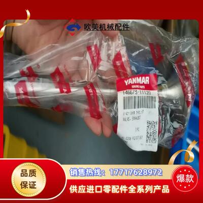 ey18  排气阀杆 ey18  146673-11120议价