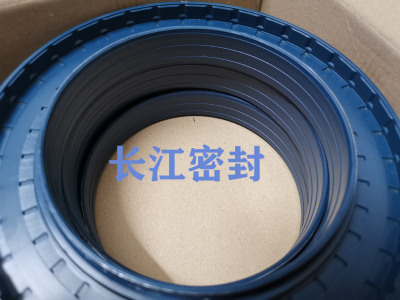 RWDRKOMBI110-170-12-22MSSLR95-145-12/22进口减速机骨油封