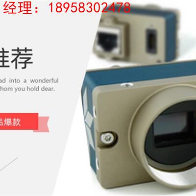 DALSA  Nano-CL-M4020  Nano-CL-C4020  面振工业相机加拿大原装